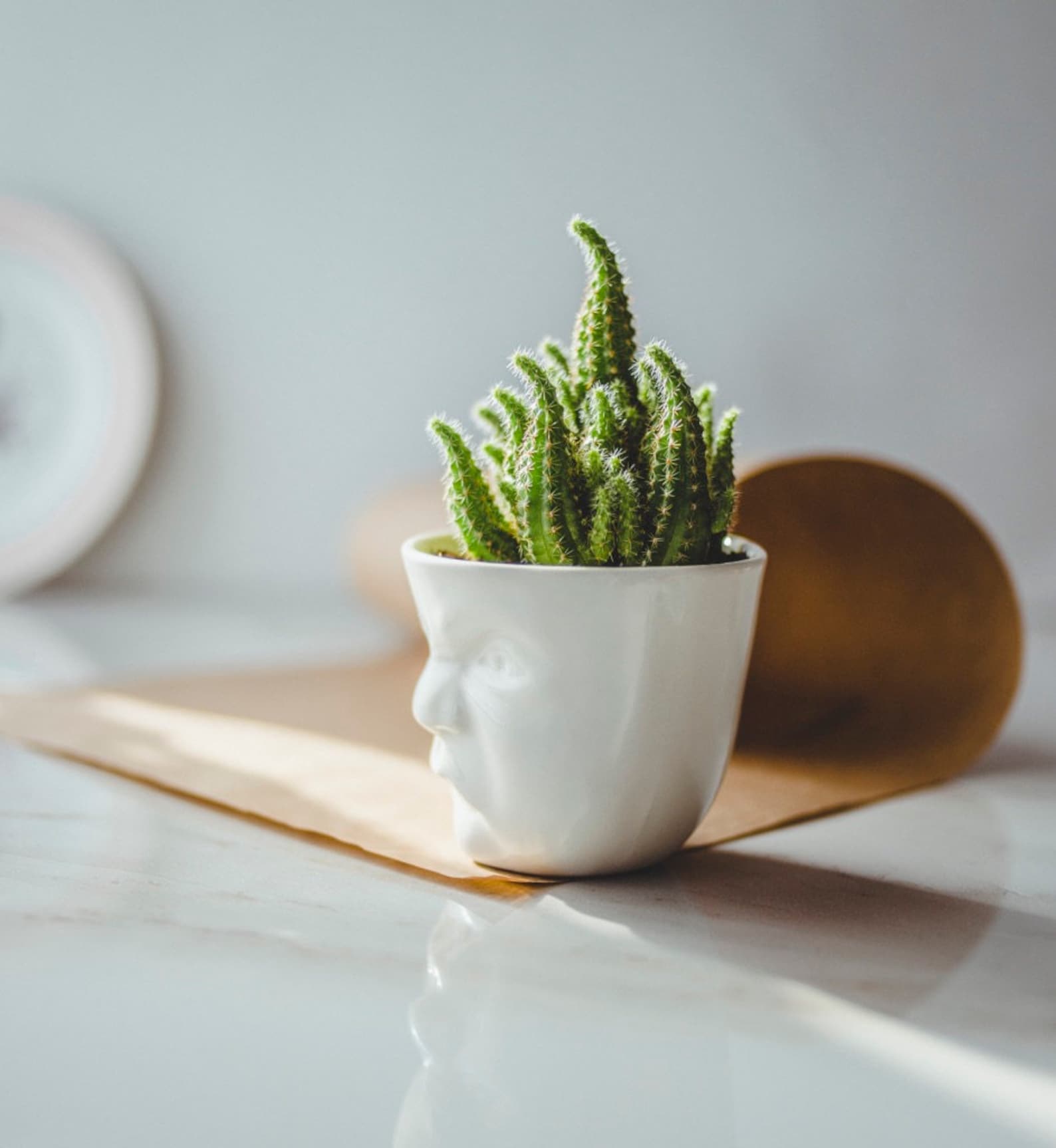 Face Planter Head Vase Succulent Pot Grumpy Office Desk - Etsy