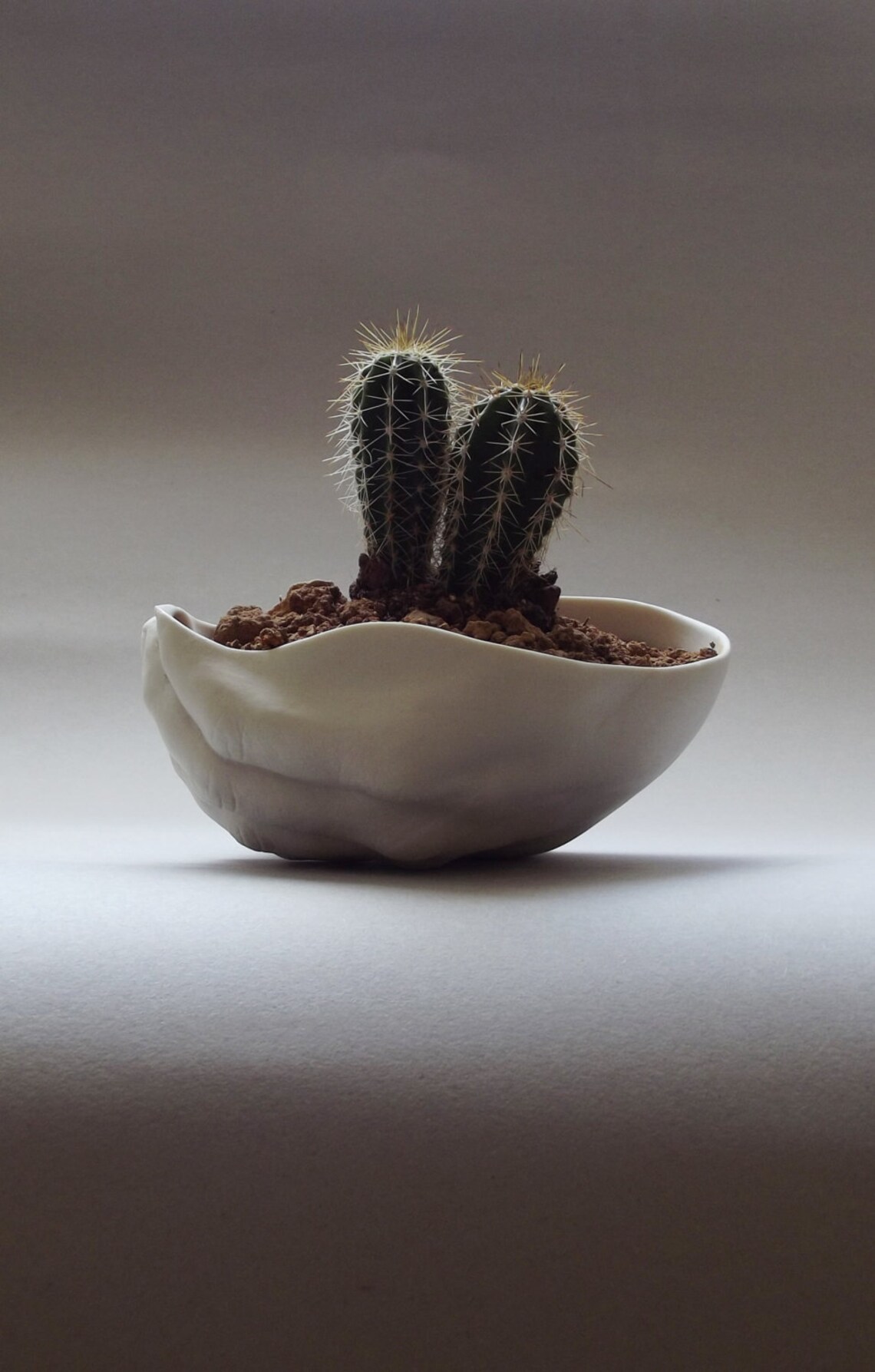 Handmade Ceramic Hand Succulent Planter Cactus Pot Cute - Etsy UK