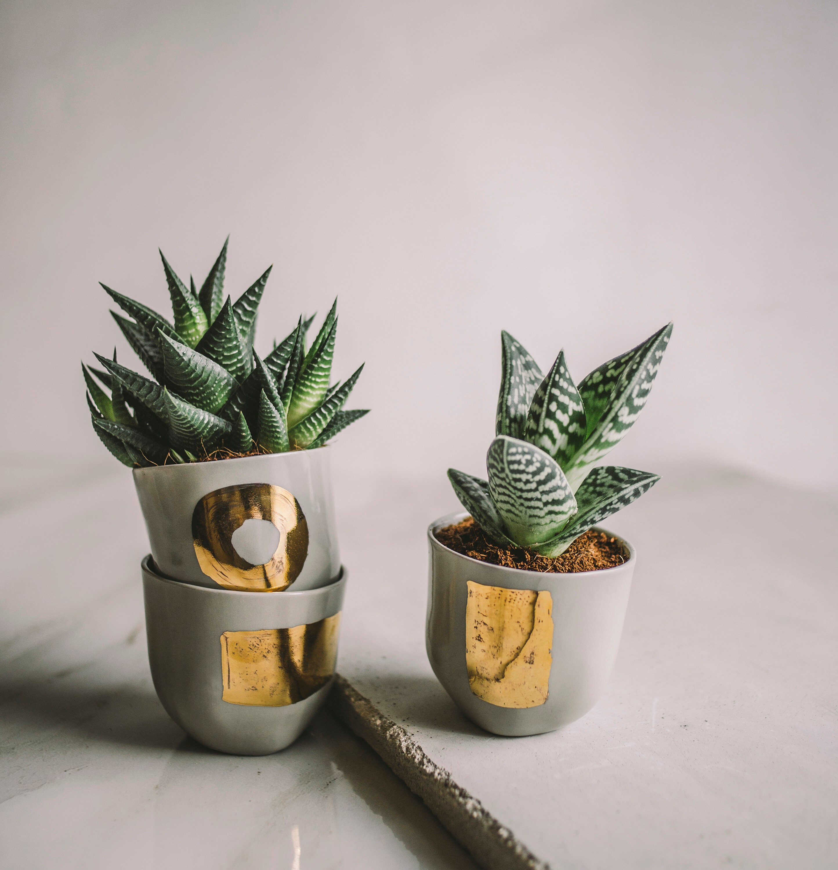 Gold Ceramic Planter Succulent Planter Set Office Decor Desk | Etsy