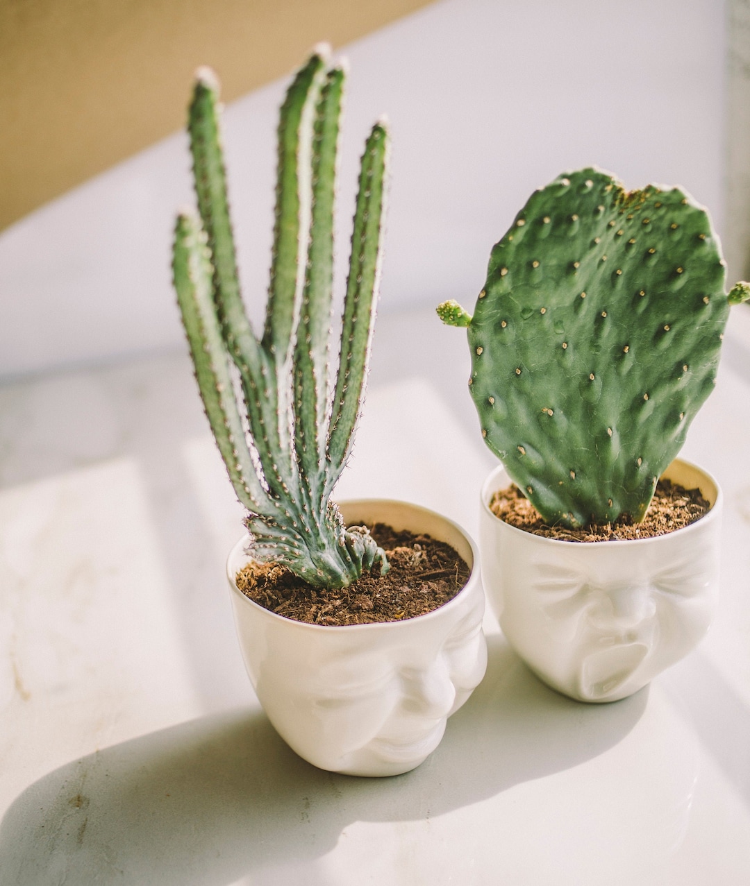 Head Planter Set Face Planter Ceramic Planter Cactus Planter Modern ...