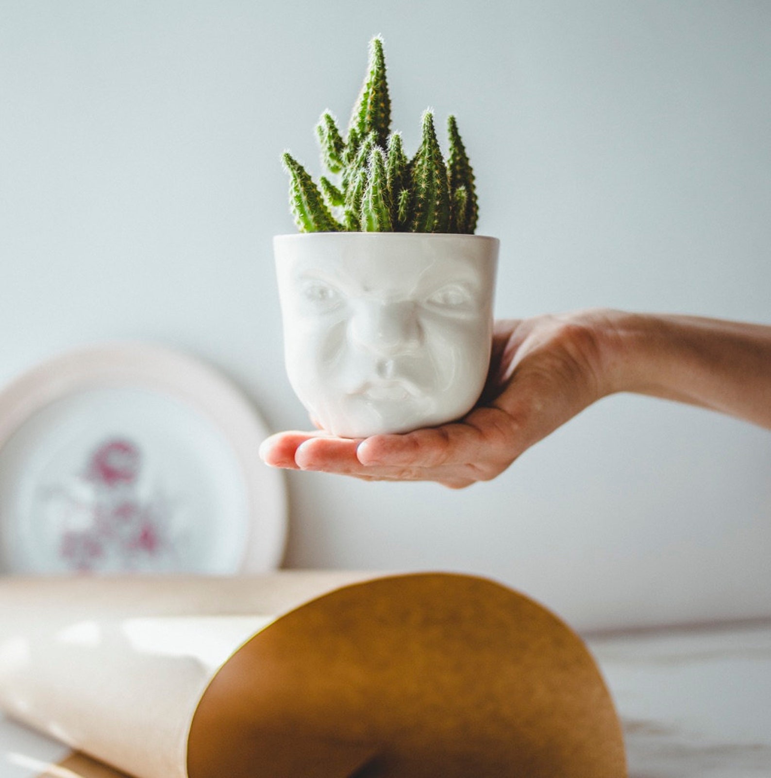 Face Planter Head Vase Succulent Pot Grumpy Office Desk - Etsy