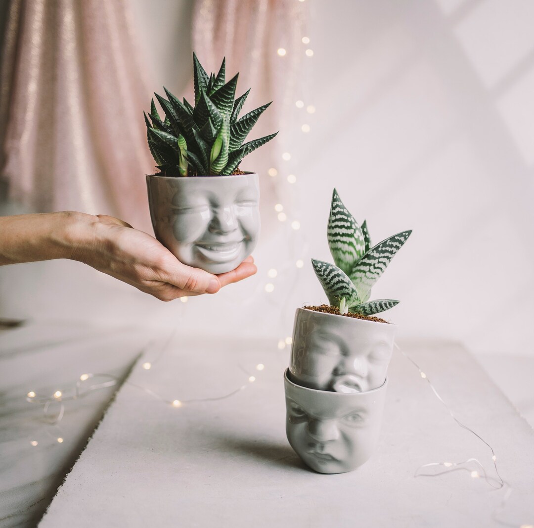 Face Planter Set Cactus Planter Office Decor Desk Accessories Succulent ...