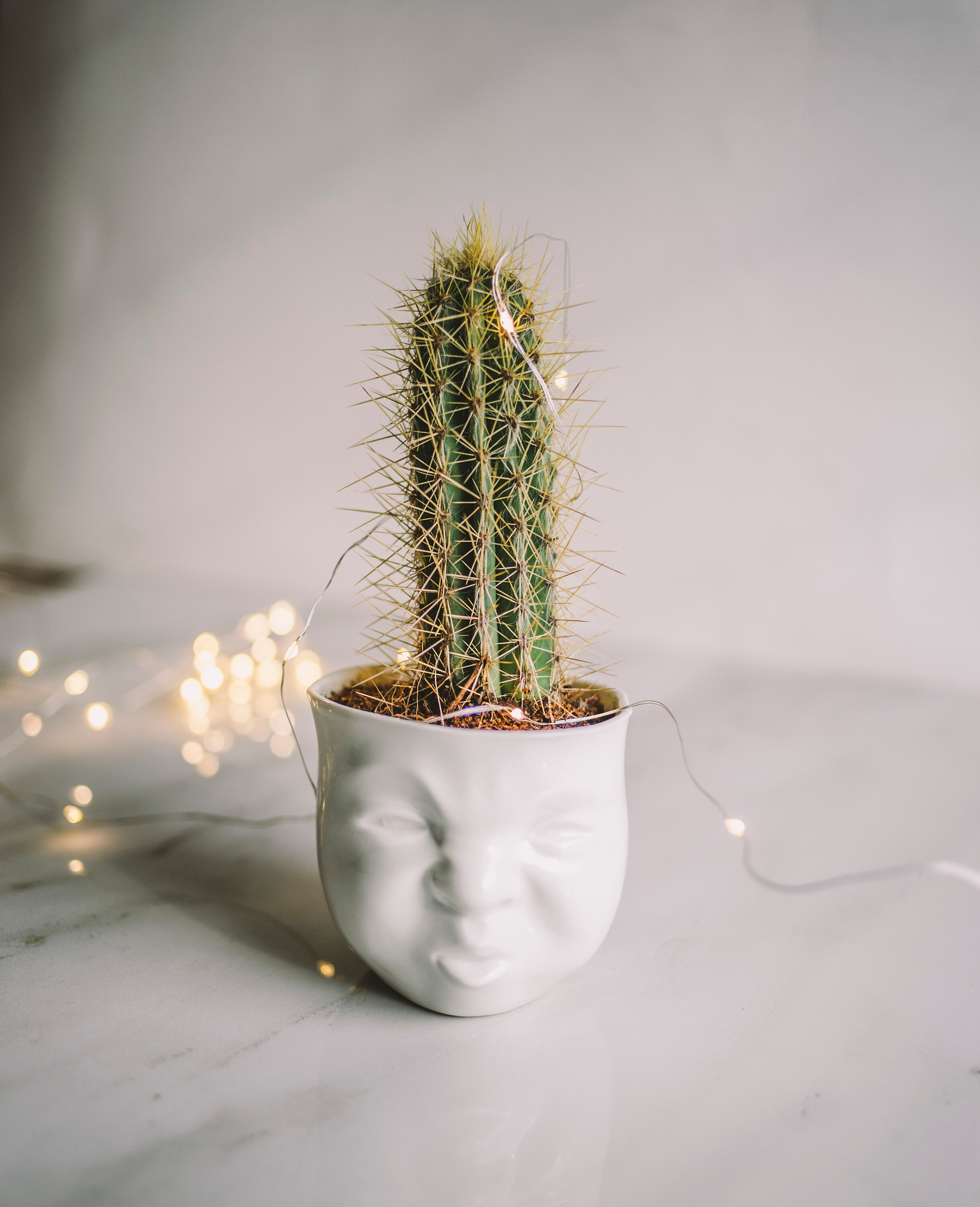 Funny Face Planter: Ceramic Sculpture Head Vase - Etsy