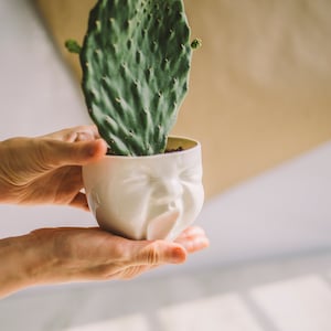 Head Planter Set Face Planter Ceramic Planter Cactus Planter Modern ...