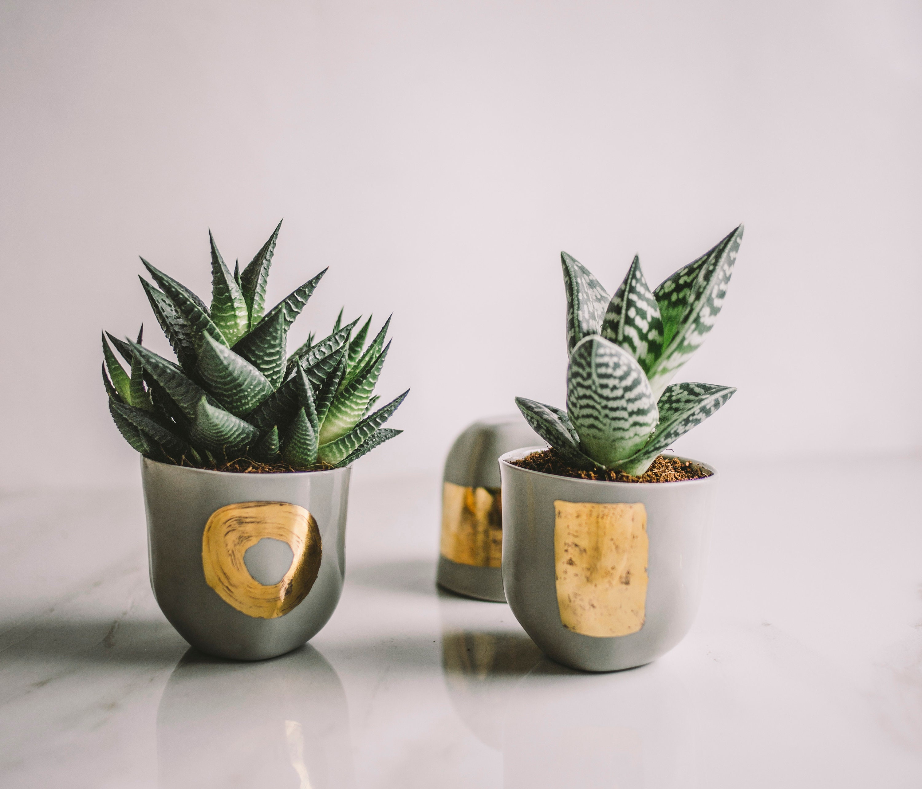 Gold Ceramic Planter Succulent Planter Set Office Decor Desk | Etsy