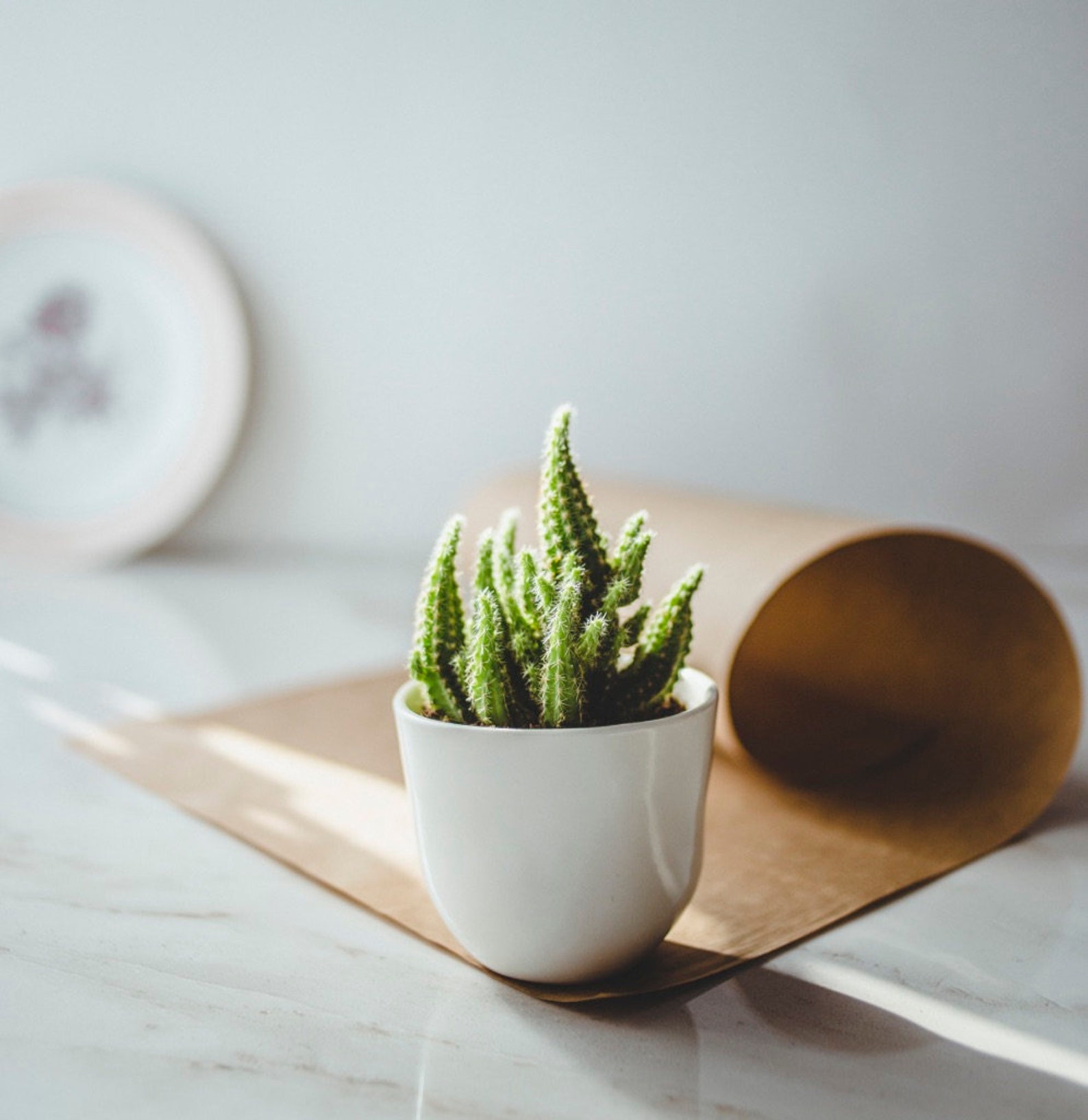 Face Planter Head Vase Succulent Pot Grumpy Office Desk - Etsy
