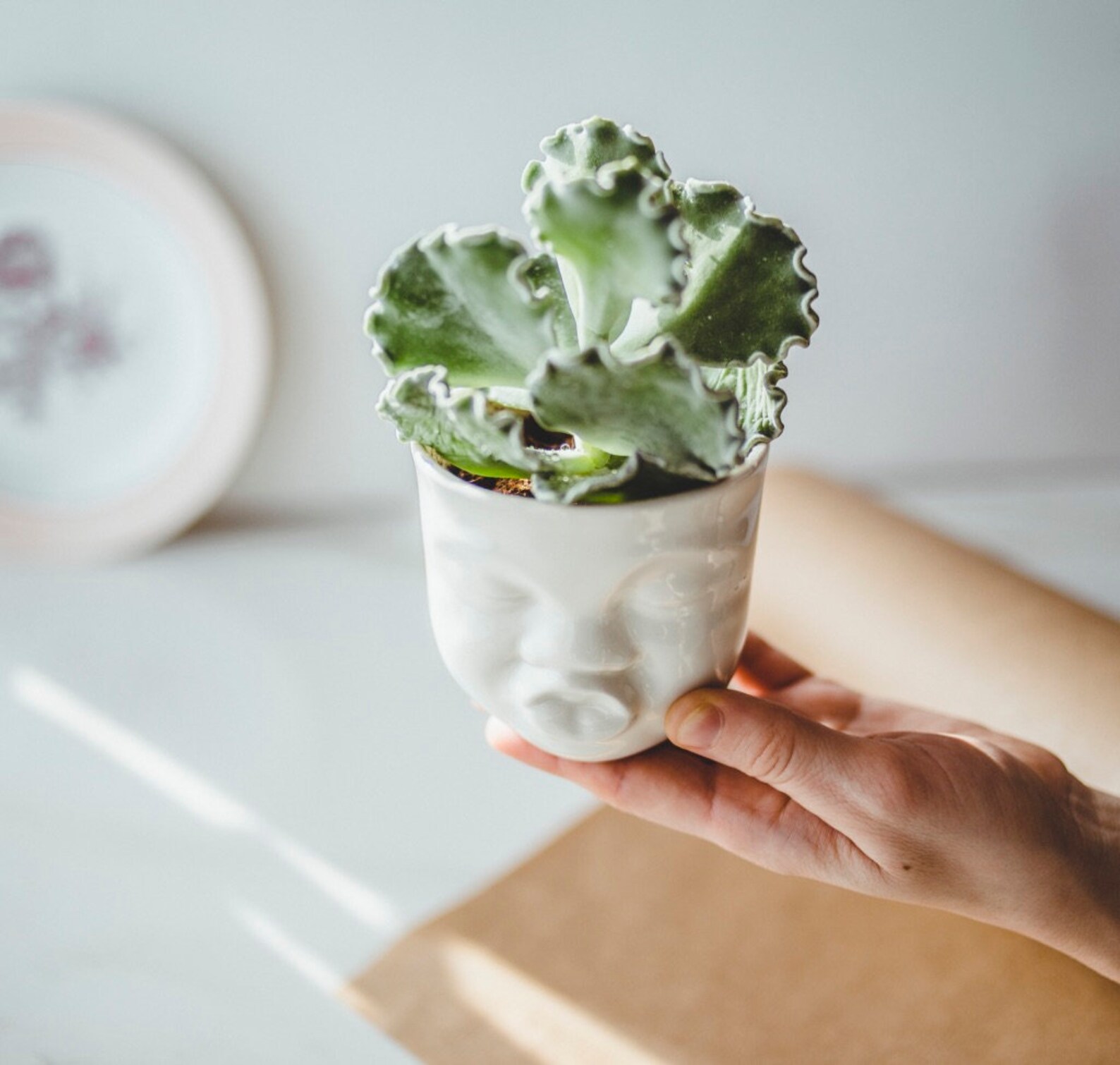 Ceramic Planter Face Planter Head Vase Succulent Pots Cactus - Etsy