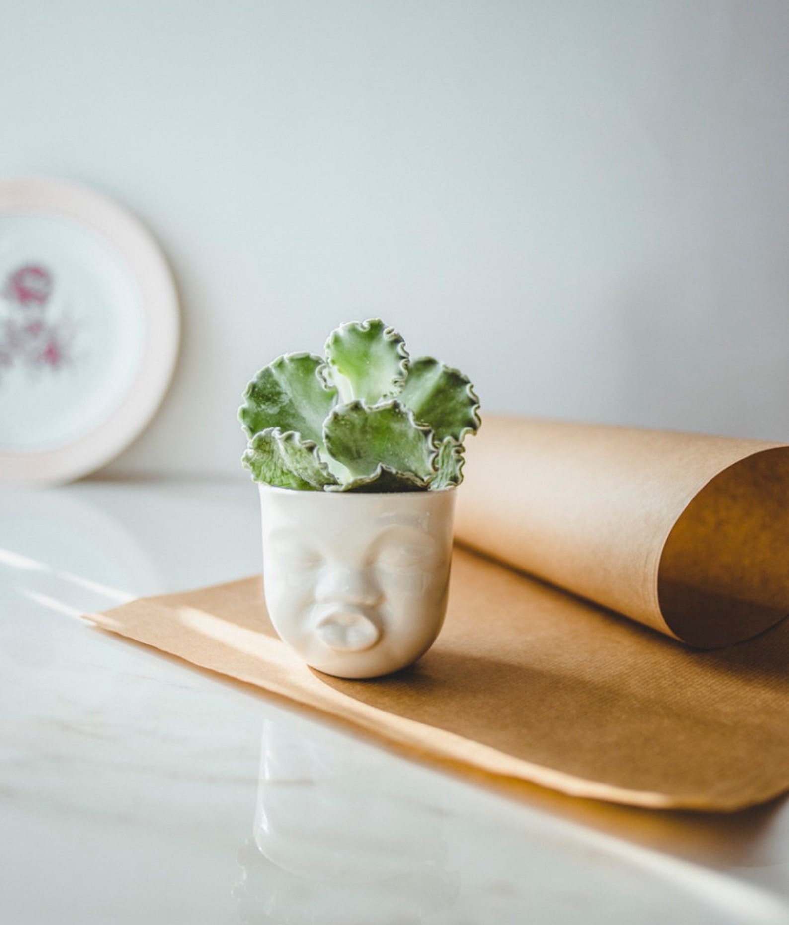 Ceramic Planter Face Planter Head Vase Succulent Pots Cactus - Etsy