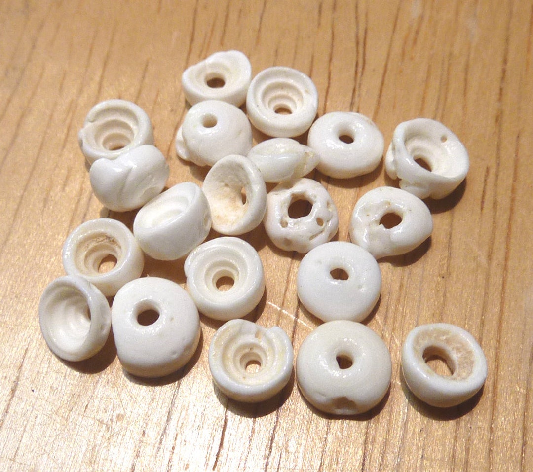 Puka-2 -- Small, 8x3 Mm Average Puka Shells, 20 Shells, White. - Etsy
