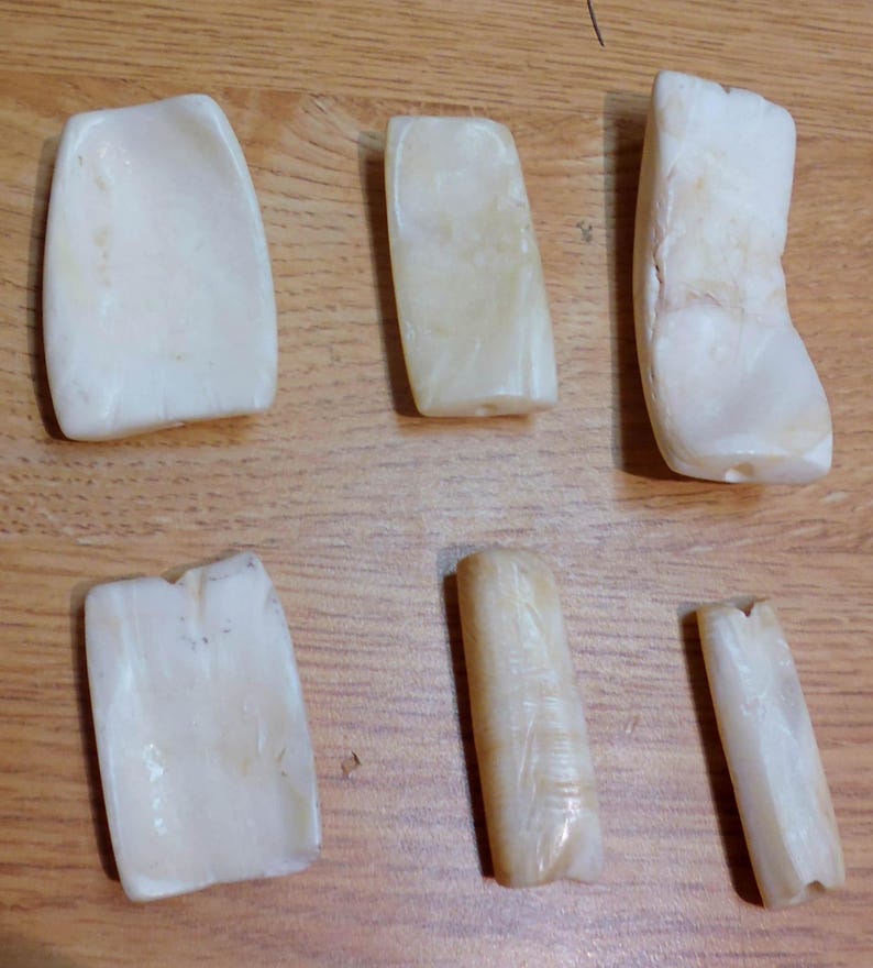 Old Arca Shell "hippo Tooth" Beads From Nagaland, Sold Through the ...