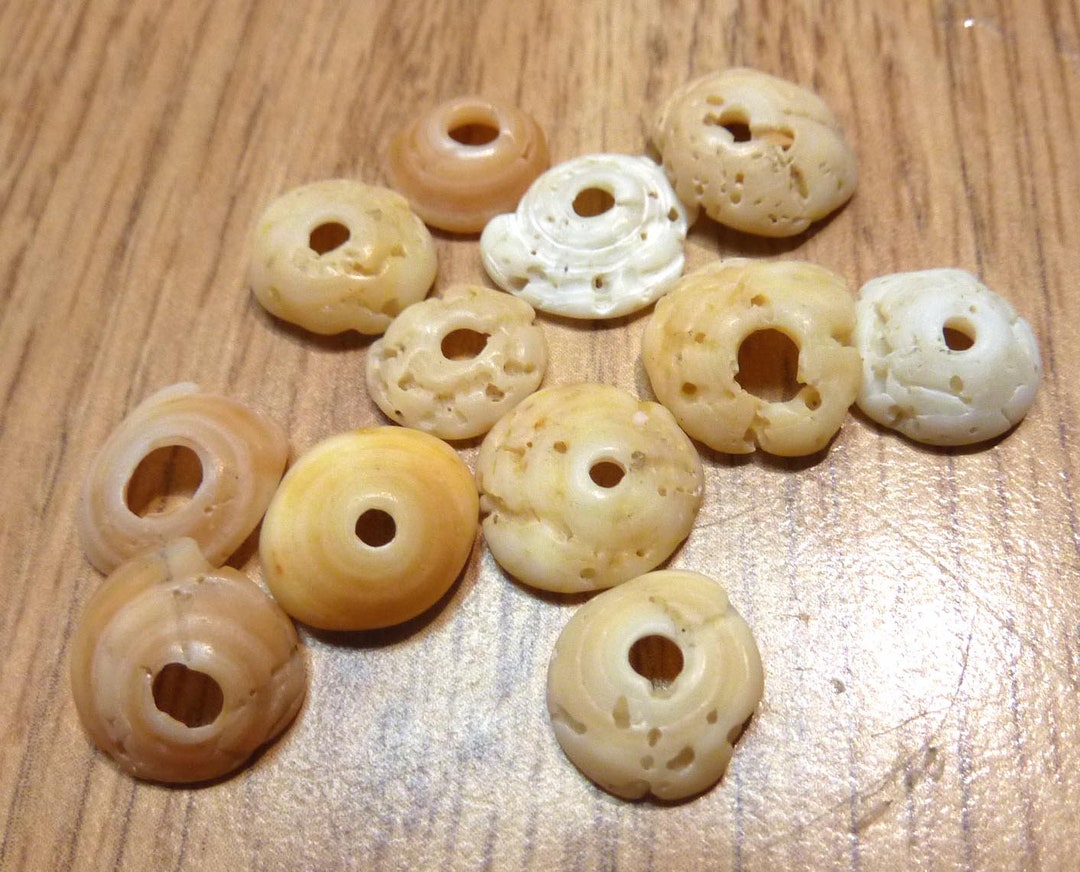 Sh Md 4 - Set of 12 Interesting Puka Shells - Etsy