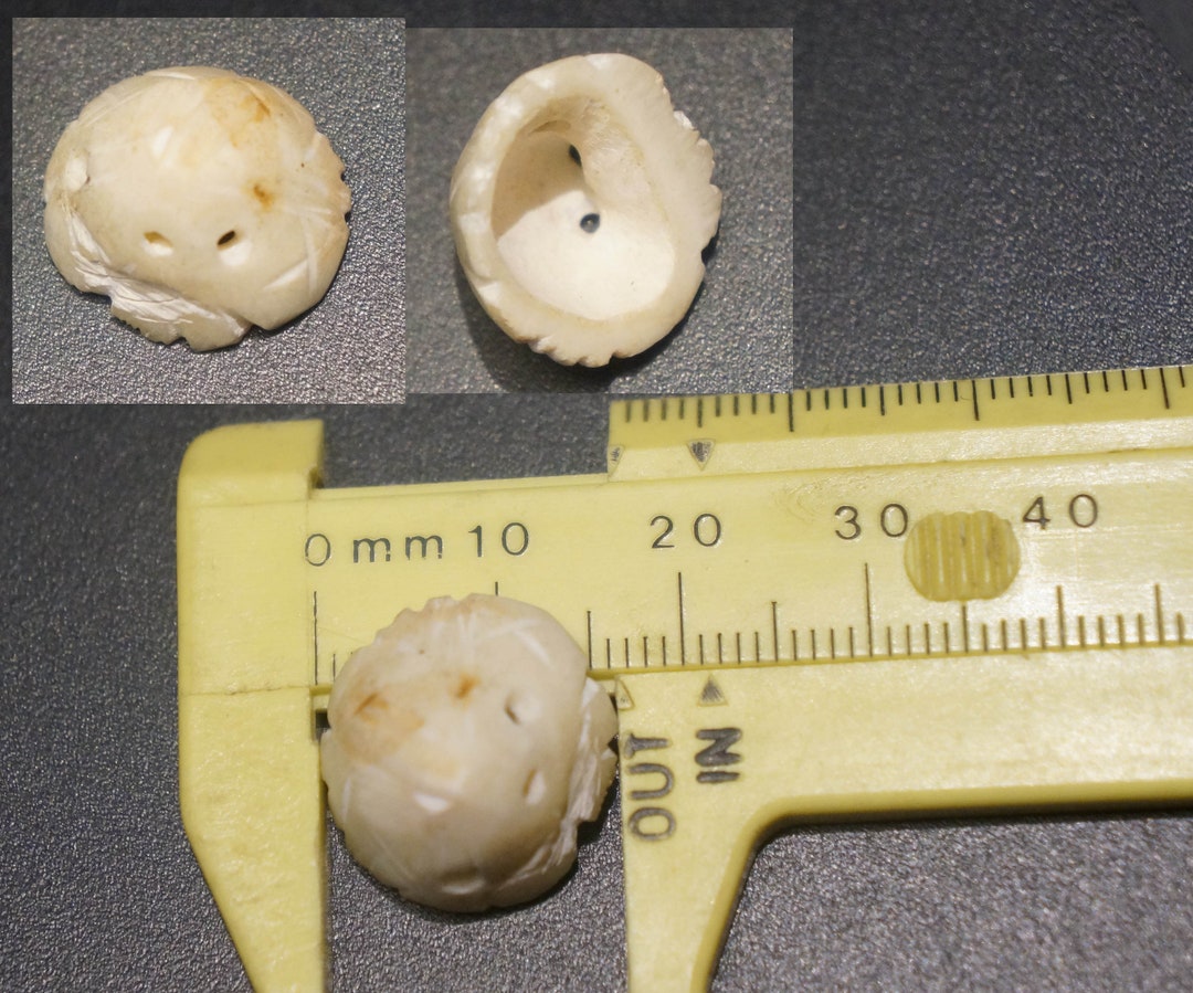 One Old Carved Biconal Conch Shell From Nagaland. 16x11 Mm, 3 Views ...