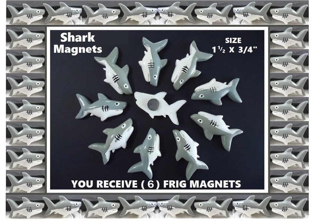 Shark Magnets Shark Frig Magnets Ocean Animal Frig Magnet Receive (6 ...
