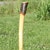 Twisted Maple Wood Walking Stick, Hiking Stick, Trekking Pole ...