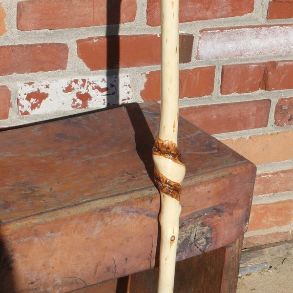 Hiking Stick Twisted - Etsy
