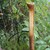 Twisted Ash Wood Staff, Walking Stick, Walking Cane, Hiking Stick ...