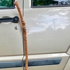 Sweet Gum Wood Snake Walking Staff, Hiking Stick, Walking Stick ...