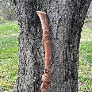 Twisted Maple Wood Walking Stick, Hiking Stick, Trekking Pole ...