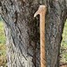 Twisted Ash Wood Staff, Walking Stick, Walking Cane, Hiking Stick ...