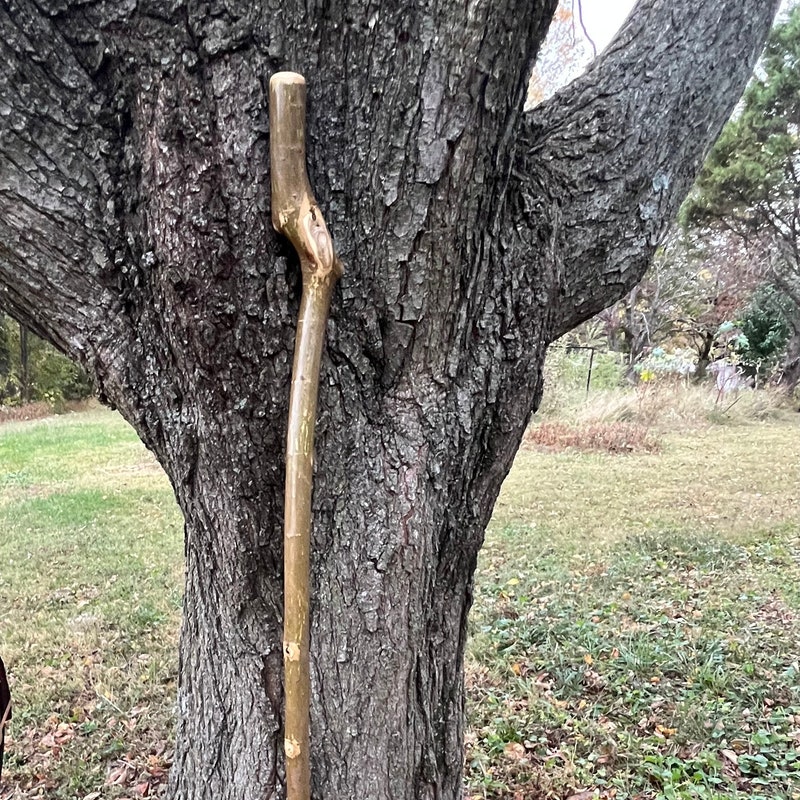 Tall Walking Staff - Etsy