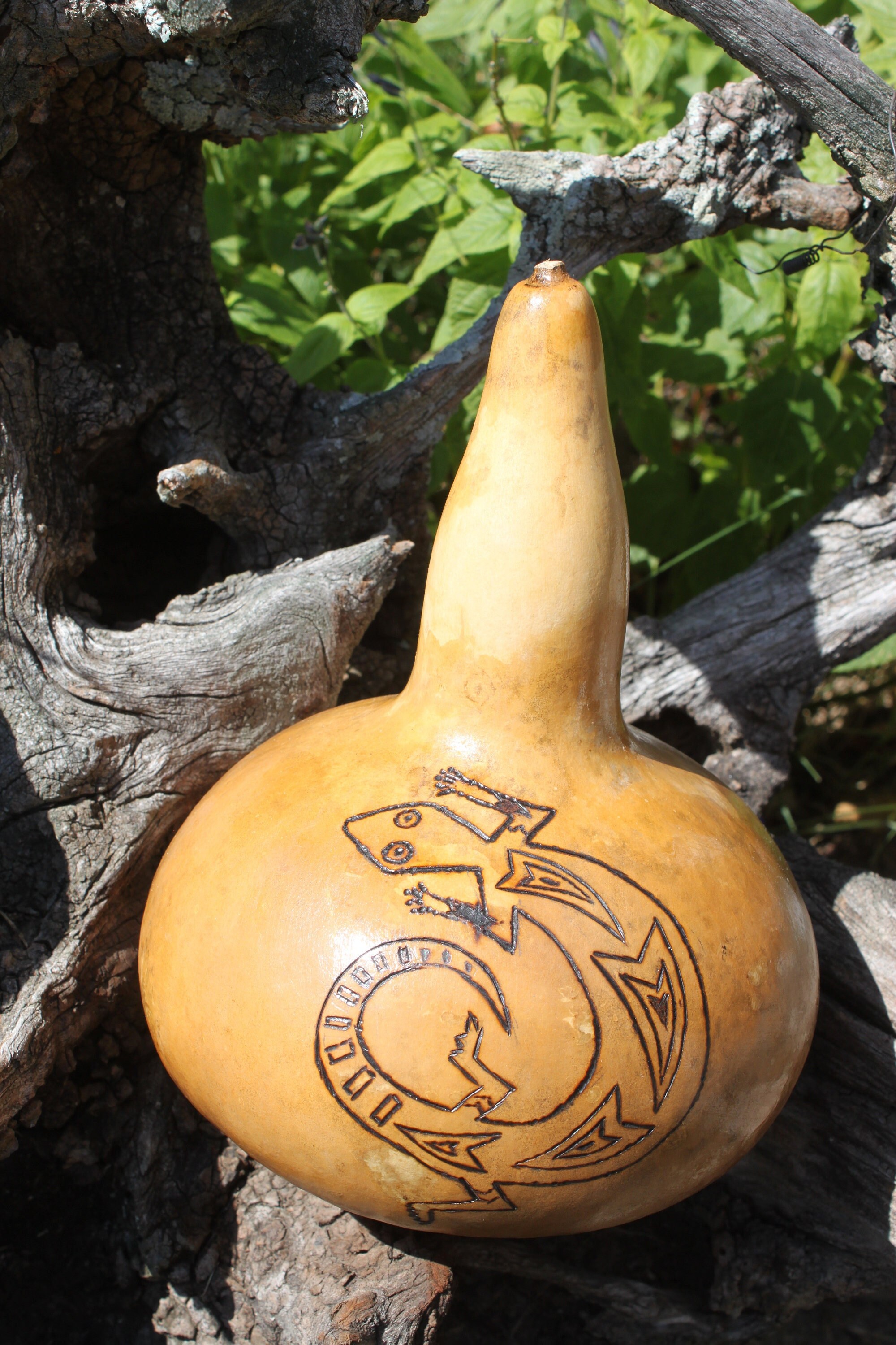 Gourd Art, Decorative Gourd, Gourd With Wood Burned Lizard, Gourd ...