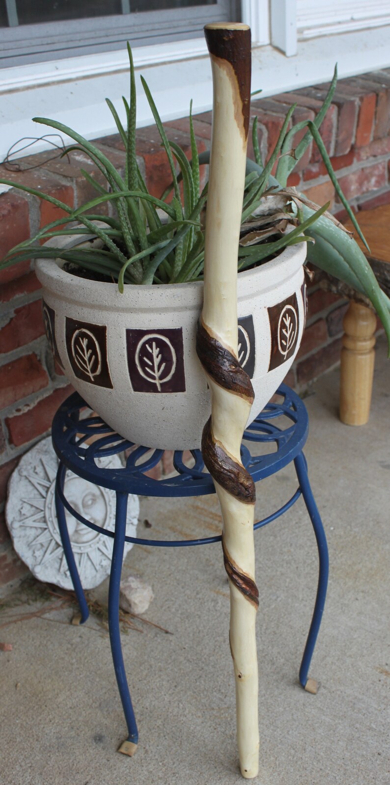 Twisted Maple Wood Cane Walking Stick Short Staff Hiking - Etsy