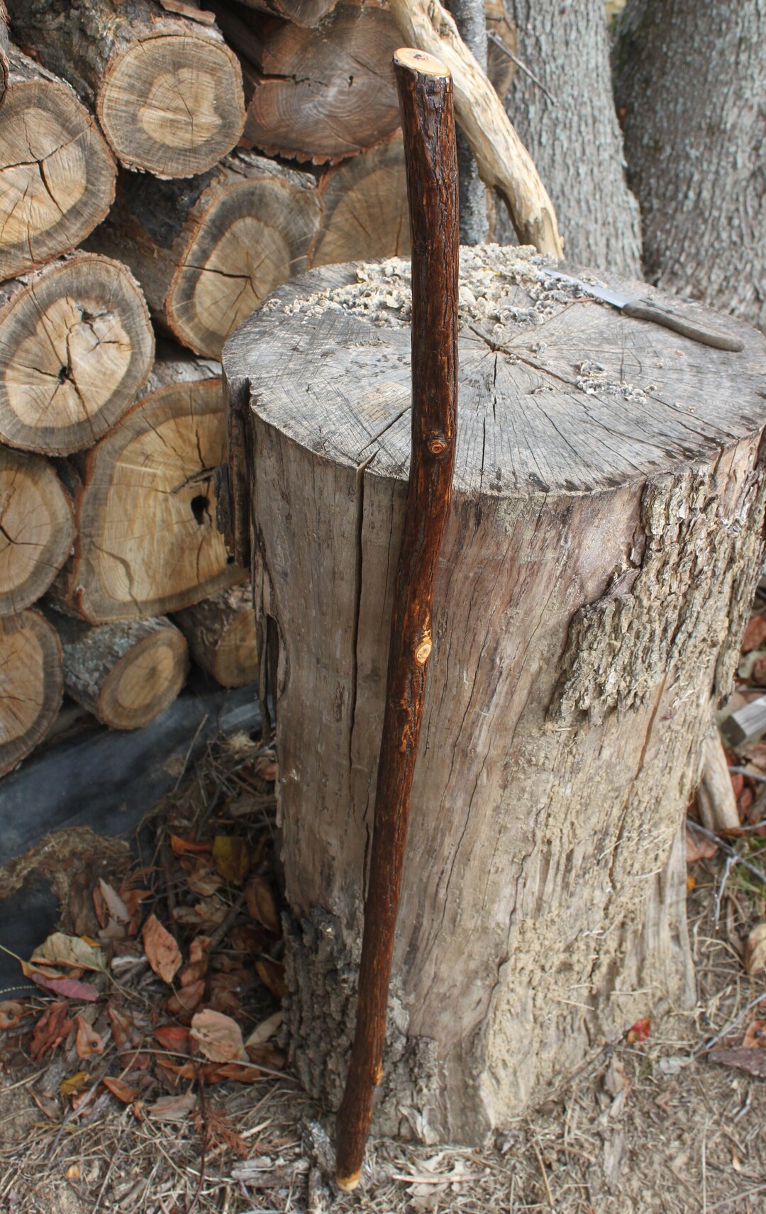 Seasoned Hickory Wood Walking Stick, Staff, Cane, Hiking Stick ...