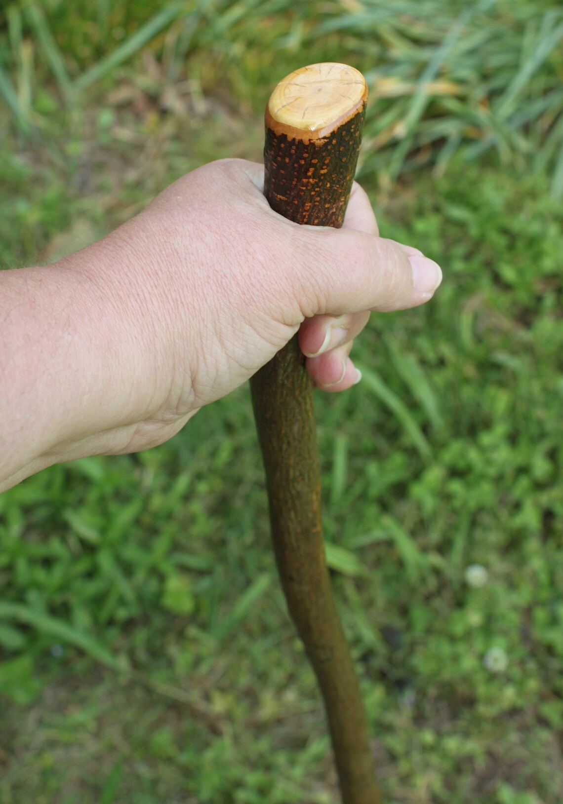 Hickory Wood Walking Stick, Cane, Walking Cane, Short Staff, Gentleman ...
