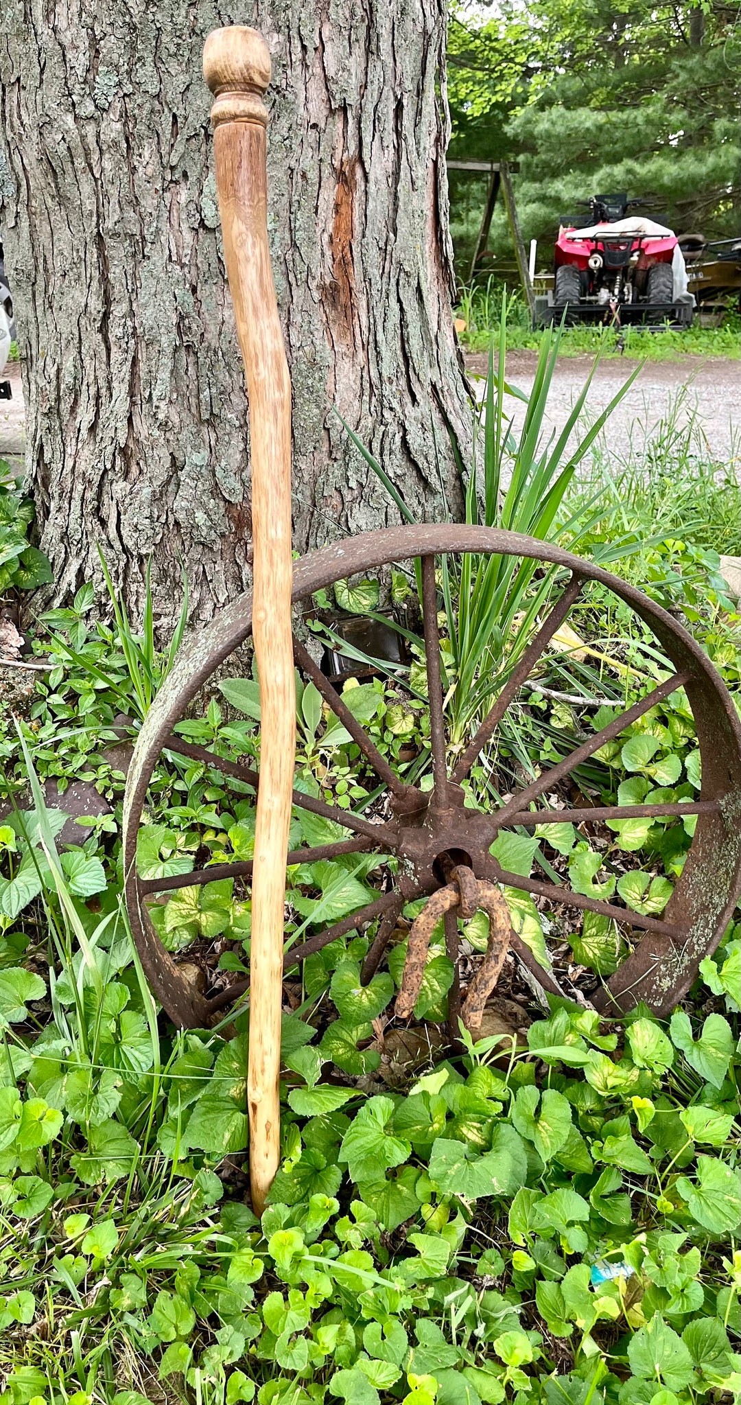 Ash Wood Cane Knob Handle, Walking Stick, Gentleman's Cane, Trekking ...