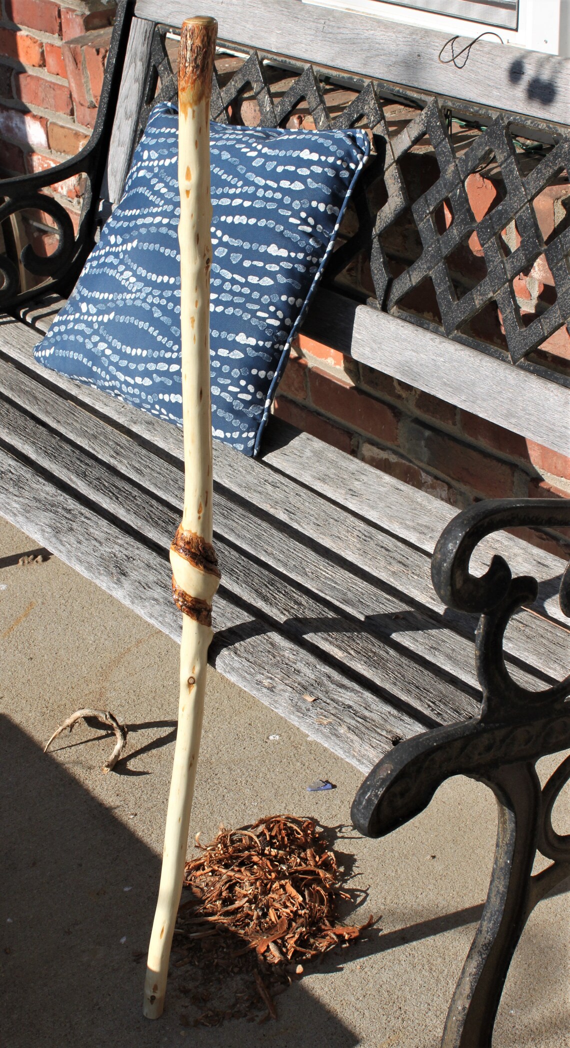 Naturally Twisted Sassafras Wood Cane, Walking Stick, Trekking Pole ...