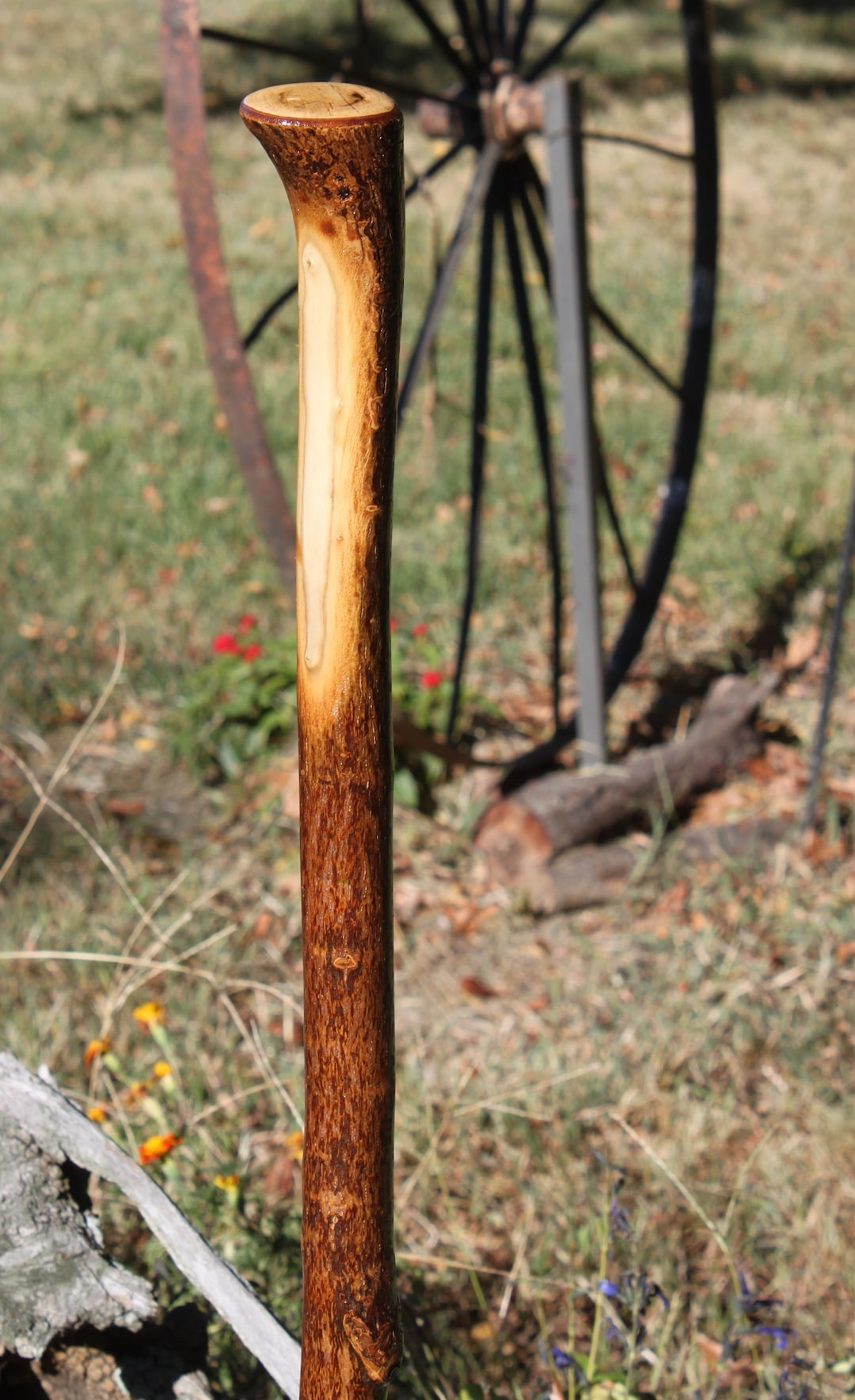Poplar Wood Walking Stick, Hiking Stick, Staff, Trekking Pole ...
