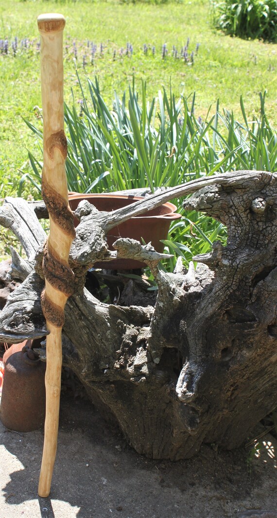 Twisted Ash Wood Cane Walking Stick Gentleman's Cane - Etsy