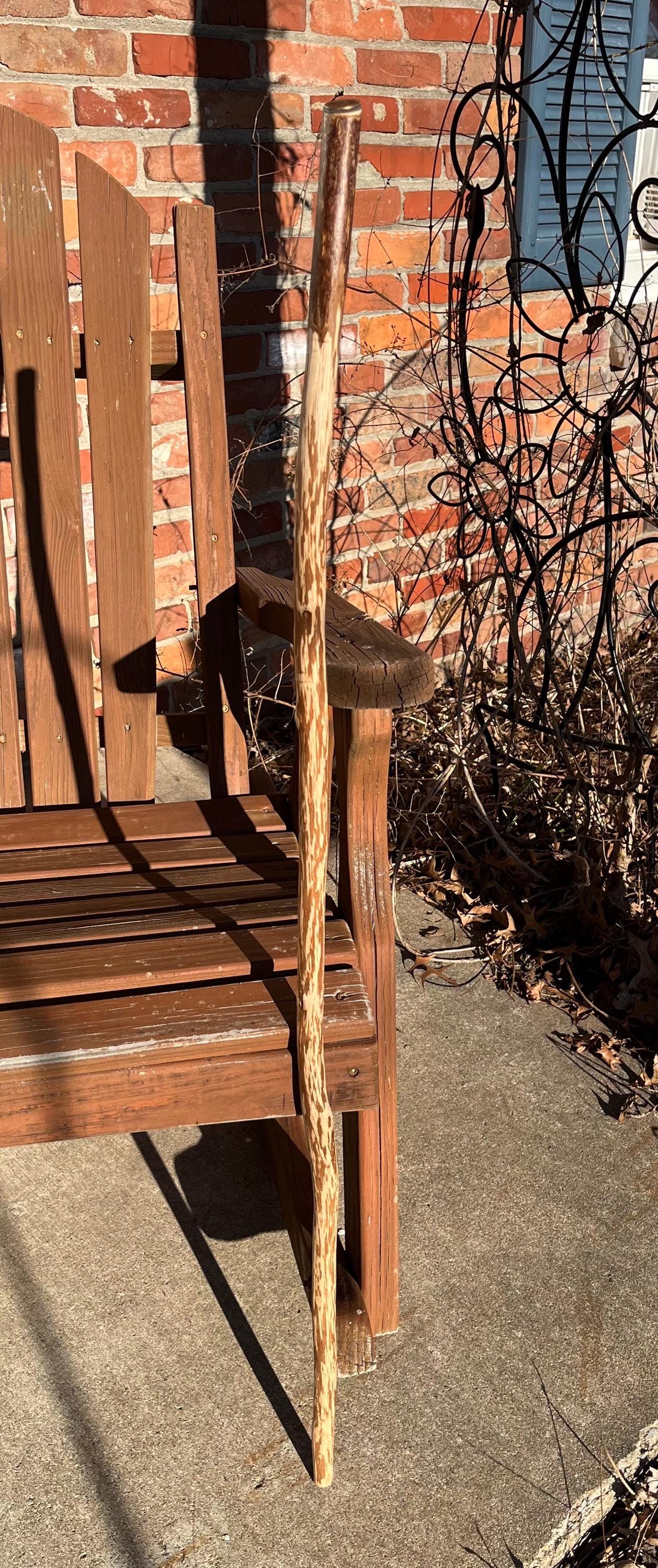 Hazel Nut Wood Cane, Penny Stick, Walking Staff, Hiking Stick, Walking ...