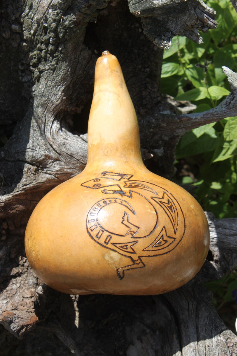Gourd Art Decorative Gourd Gourd With Wood Burned Lizard - Etsy