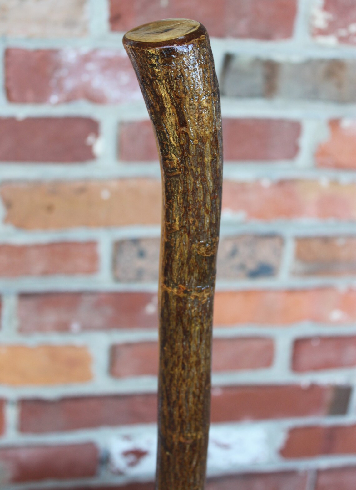 Poplar Wood Walking Stick, Hiking Stick, Staff, Trekking Pole ...