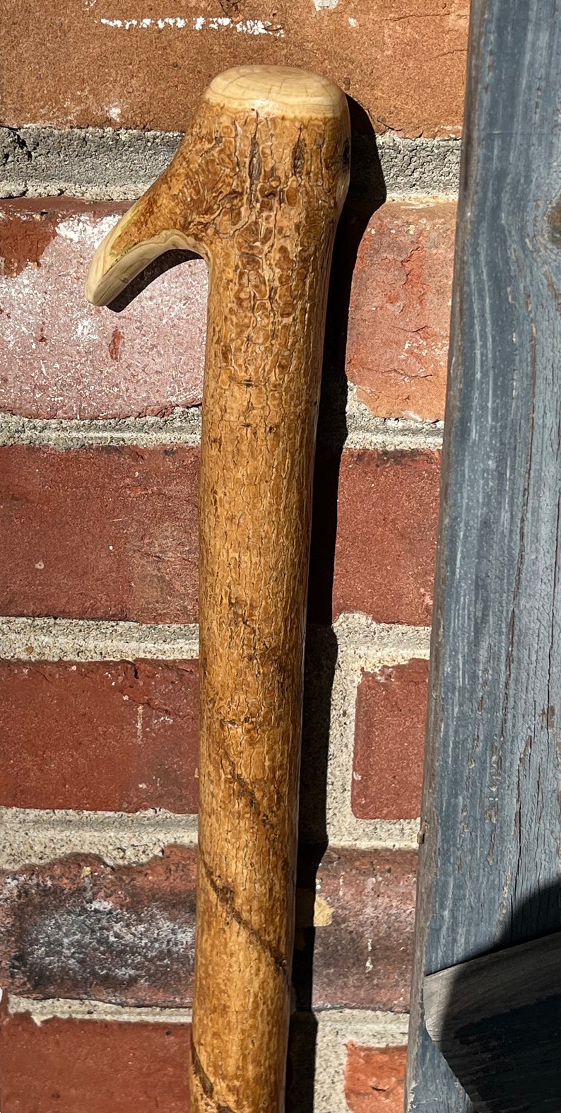 Twisted Ash Wood Staff, Walking Stick, Walking Cane, Hiking Stick ...