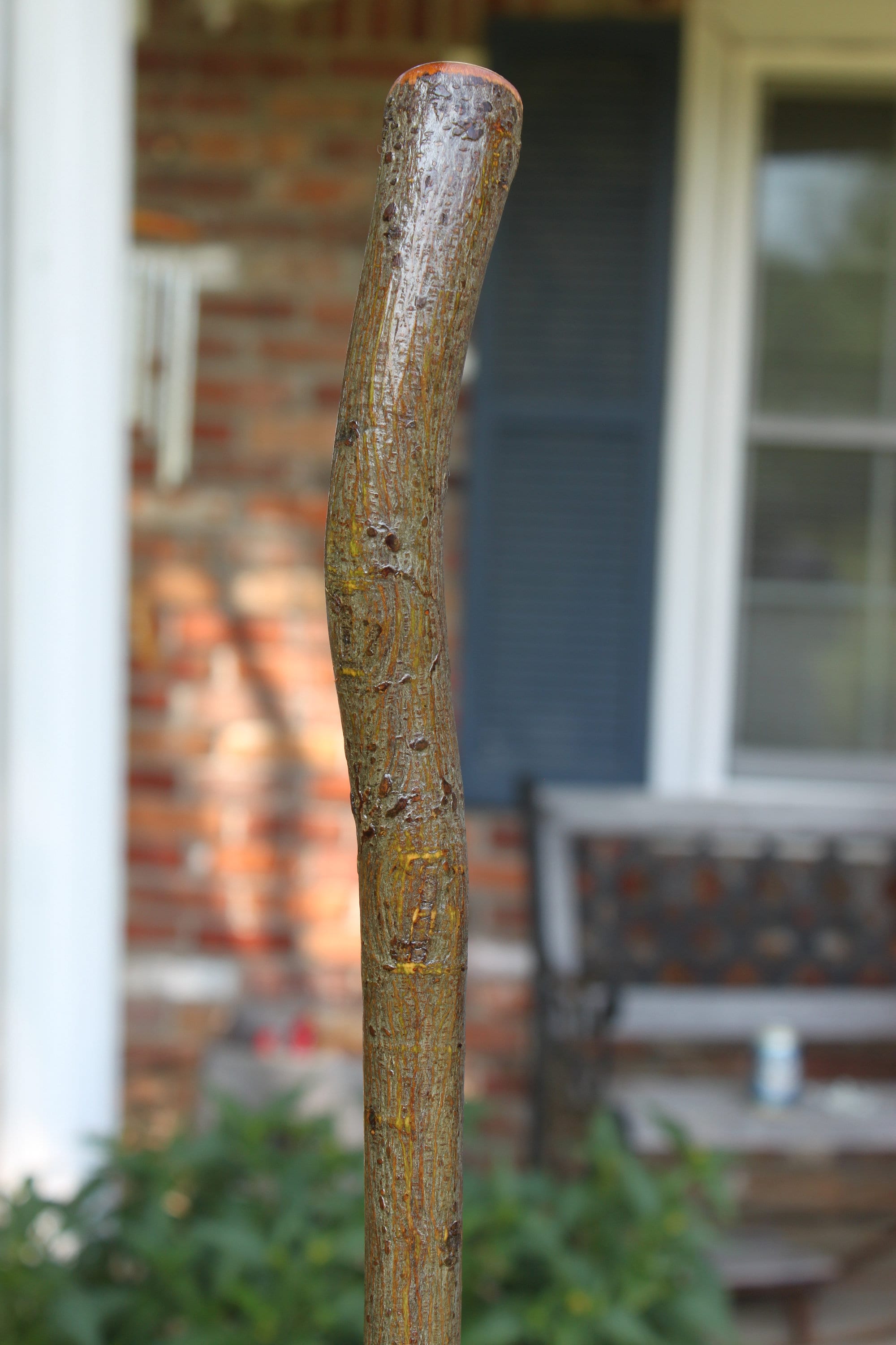 Handcrafted Hickory Wood Staff Walking Stick Hiking Stick | Etsy