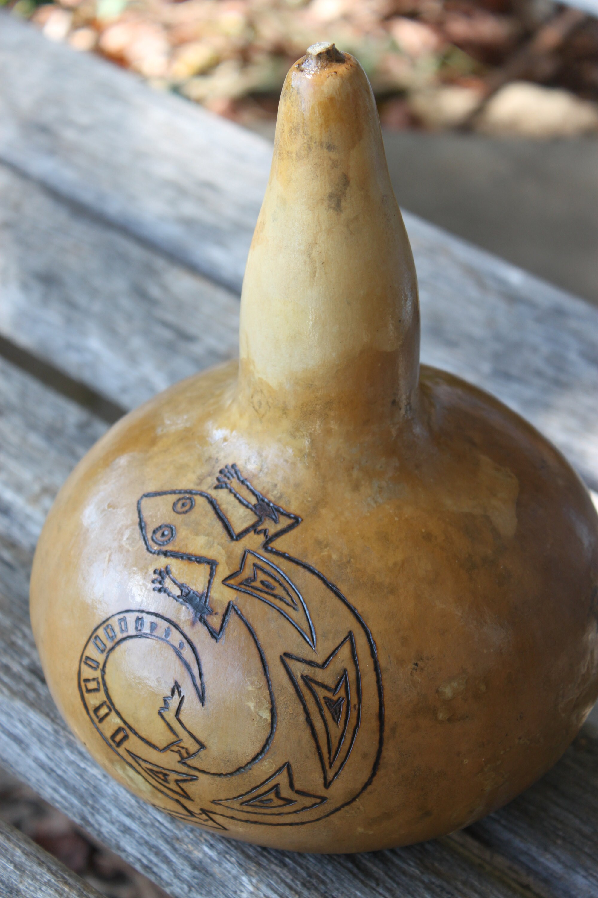 Gourd Art, Decorative Gourd, Gourd With Wood Burned Lizard, Gourd ...