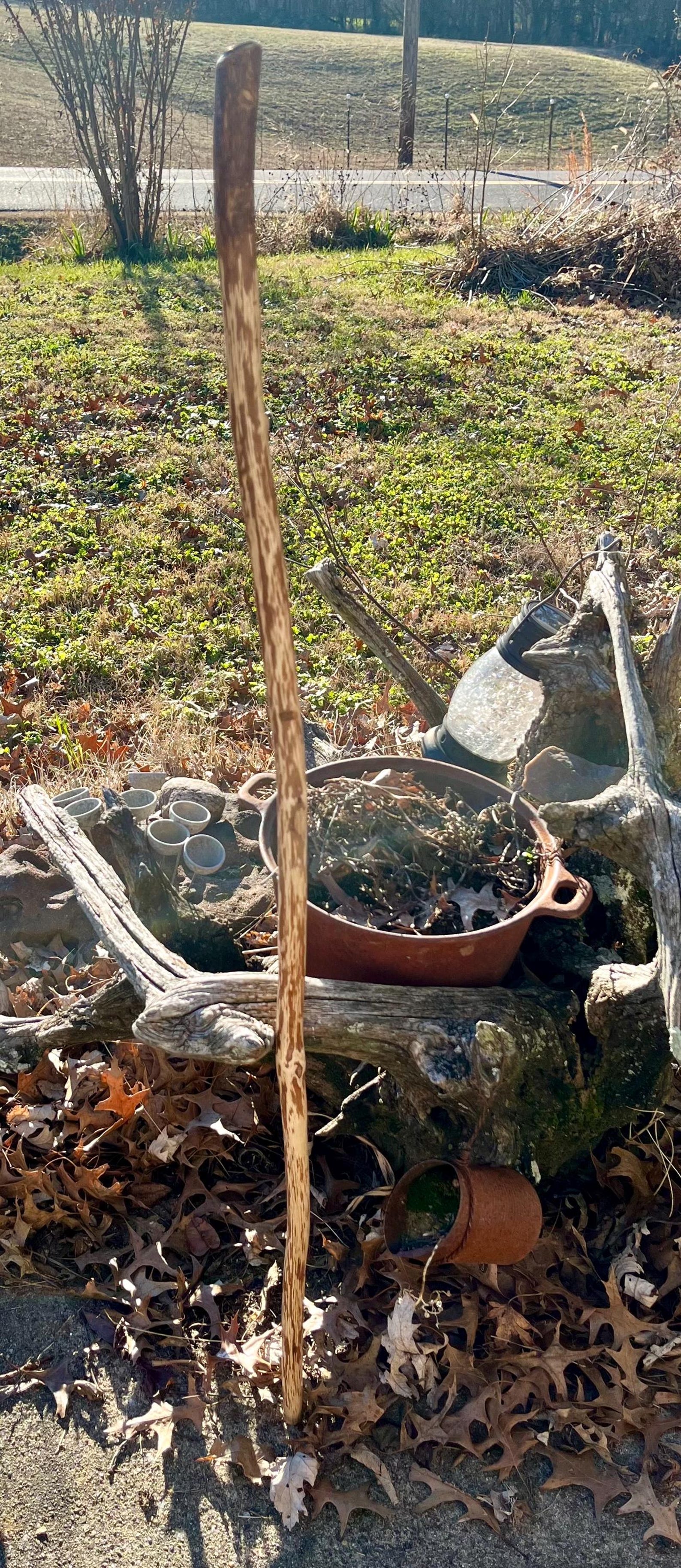 Hazel Nut Wood Cane, Penny Stick, Walking Staff, Hiking Stick, Walking ...
