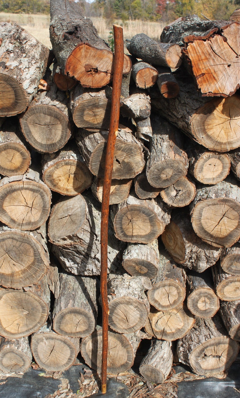 Seasoned Hickory Wood Staff, Walking Stick, Hiking Stick, Trekking Pole ...