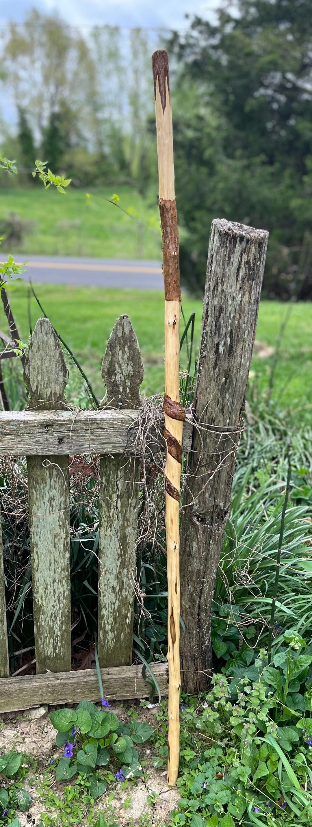 Twisted Sweet Gum Wood Walking Staff, Hiking Stick, Walking Stick ...
