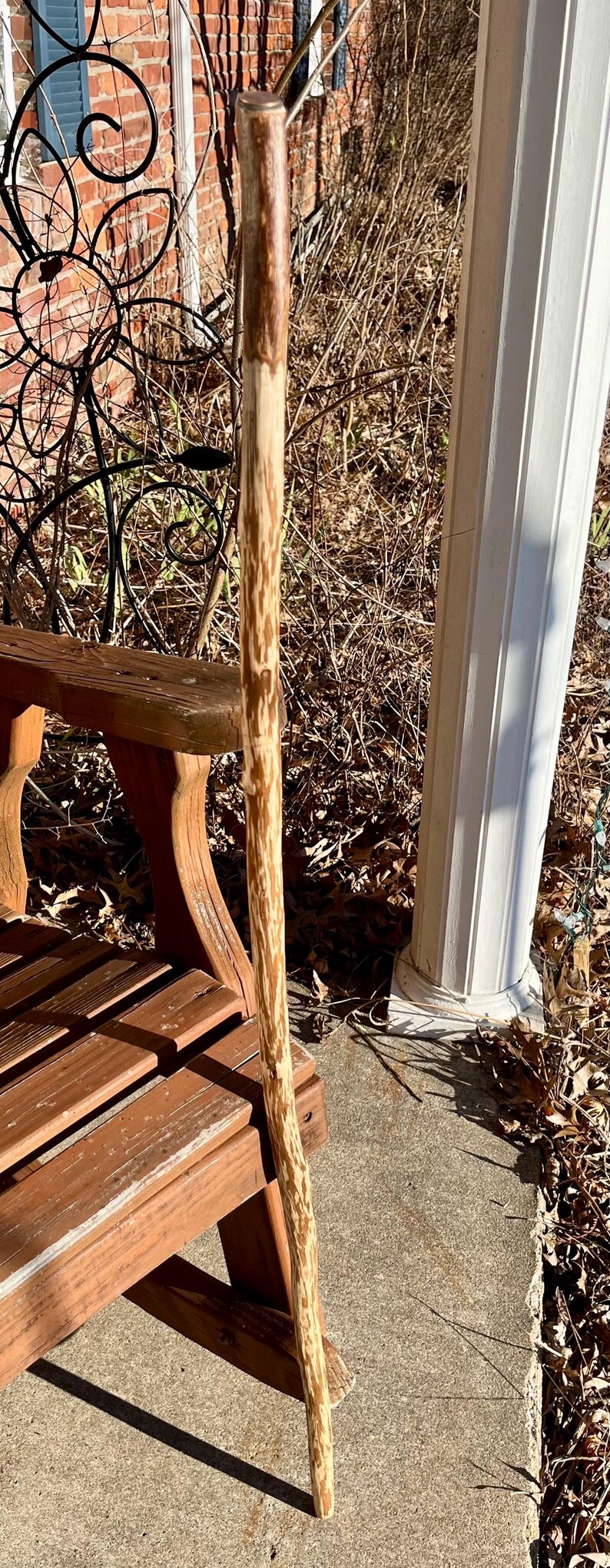 Hazel Nut Wood Cane, Penny Stick, Walking Staff, Hiking Stick, Walking ...