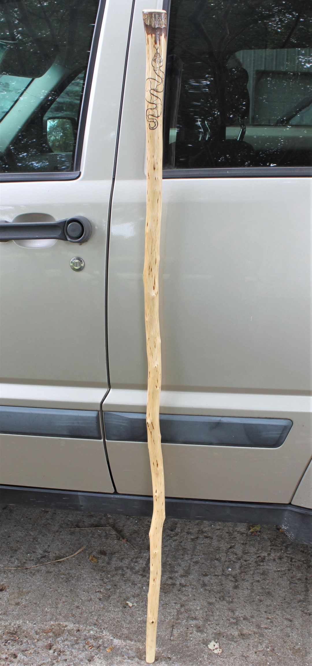 Sweet Gum Wood Snake Walking Staff, Hiking Stick, Walking Stick ...