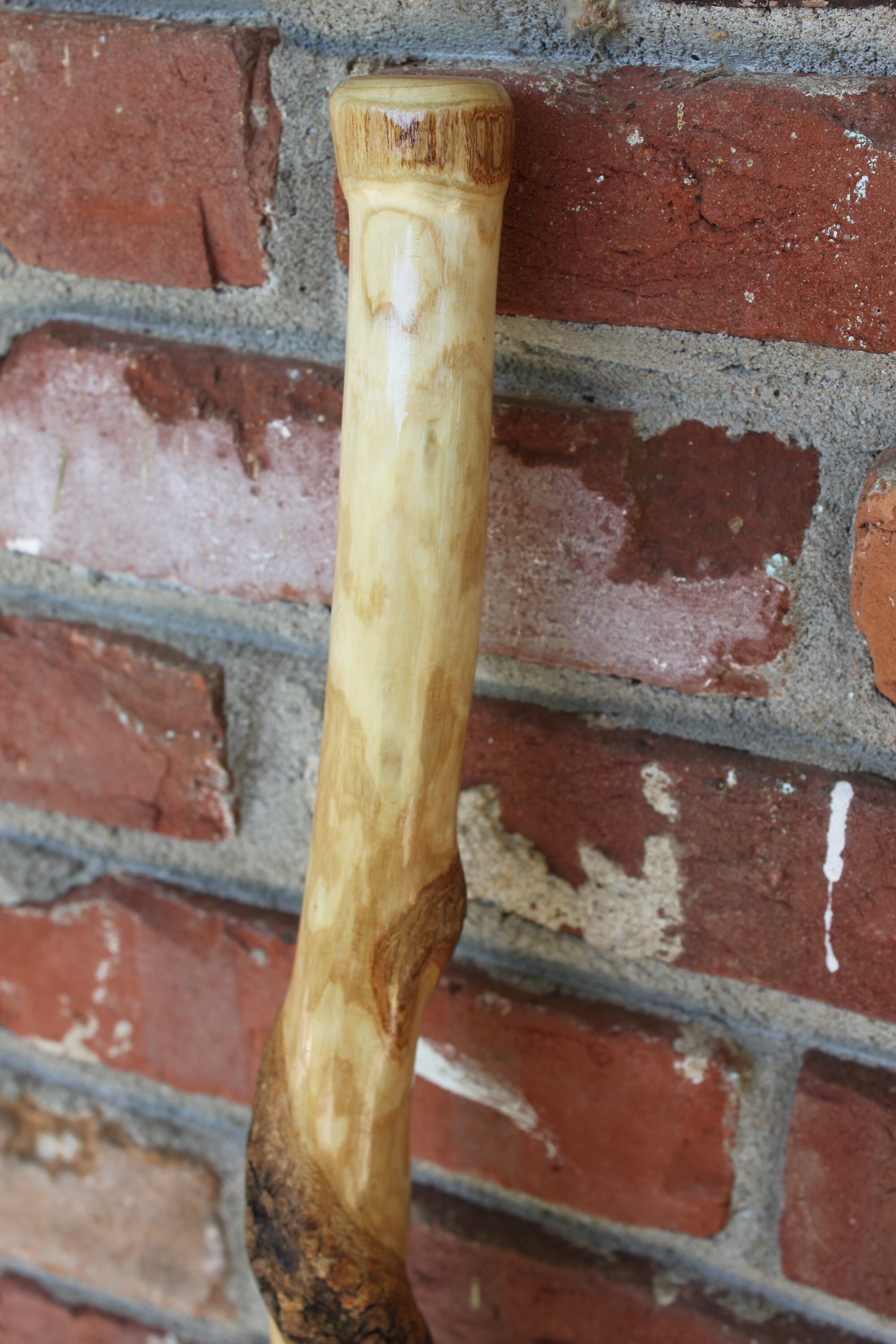 Twisted Ash Wood Cane Walking Stick Gentleman's Cane | Etsy