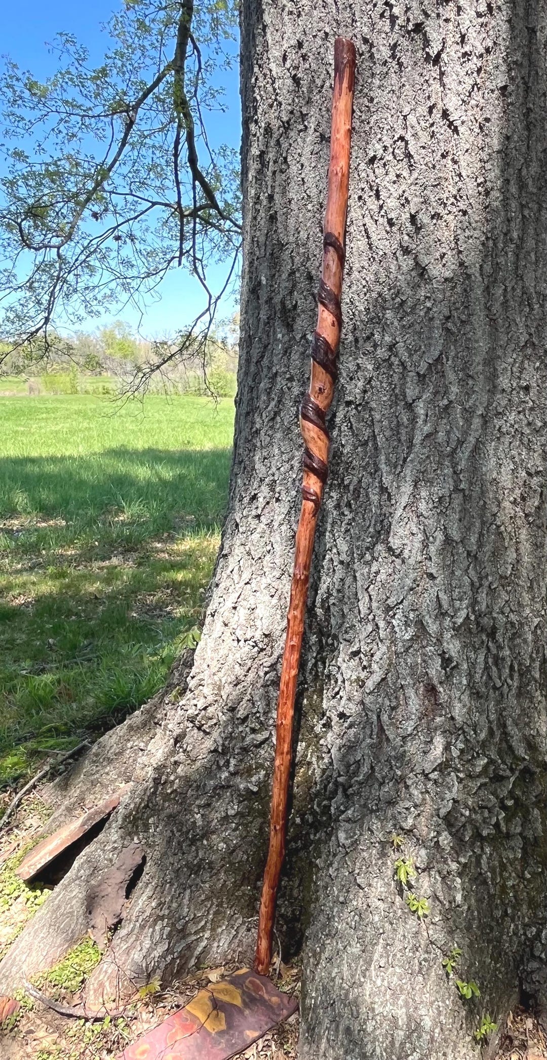 Twisted Sweet Gum Wood Walking Staff, Hiking Stick, Walking Stick ...