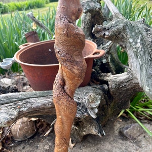 Twisted Maple Wood Walking Stick, Hiking Stick, Trekking Pole ...