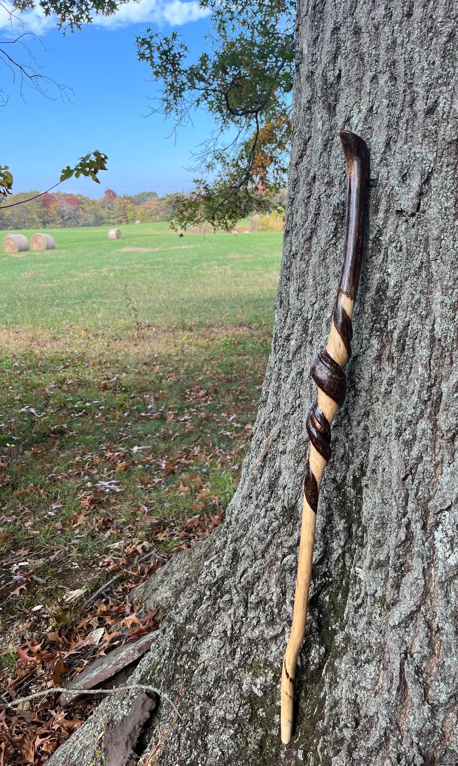 Twisted Hard Wood Cane, Walking Stick, Gentleman's Cane, Trekking Pole ...