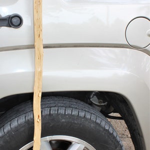 Sweet Gum Wood Snake Walking Staff, Hiking Stick, Walking Stick ...