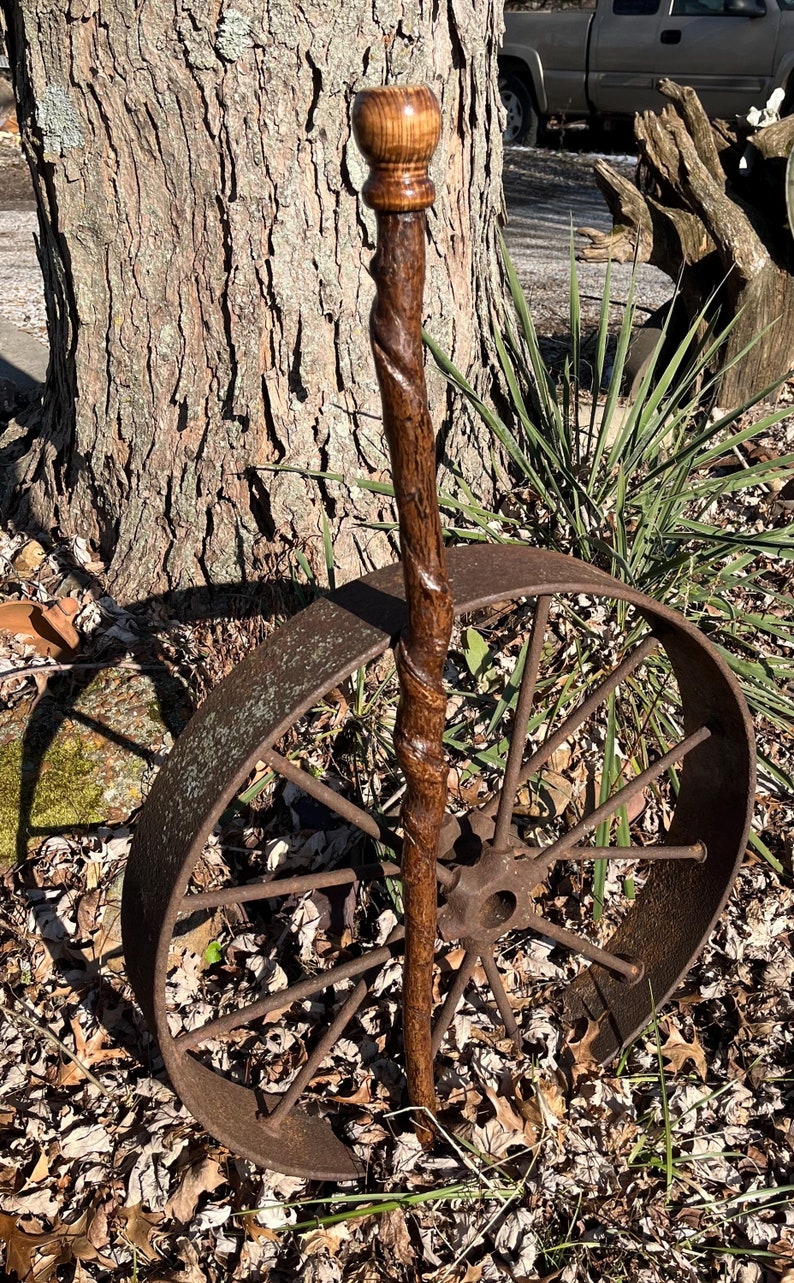 Twisted Sweet Gum Wood Walking Cane,staff,hiking Stick,walking Stick ...