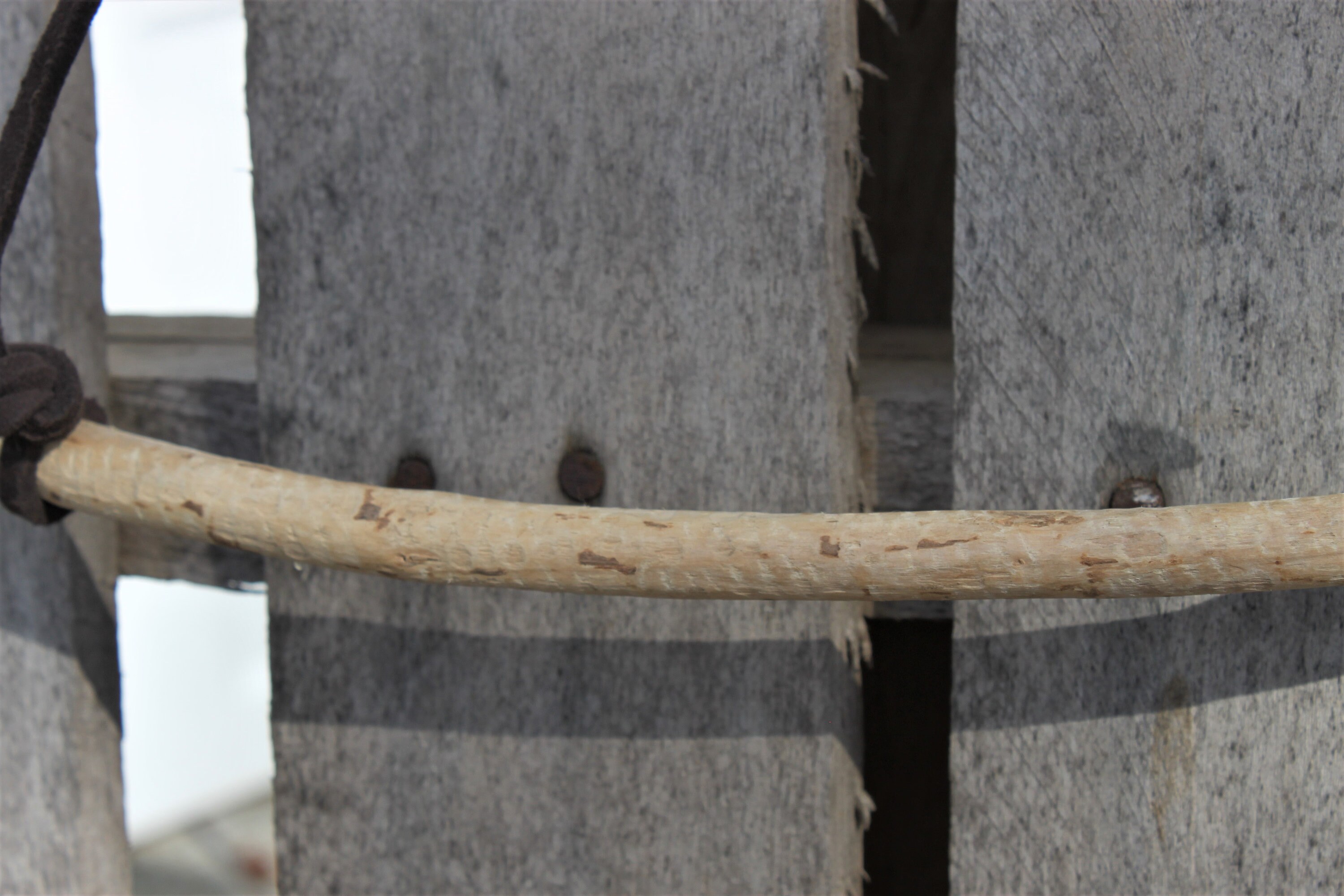 Small Willow Wood Beaver Bite Stick, Macrame Hanger, Holder, Jewelry ...